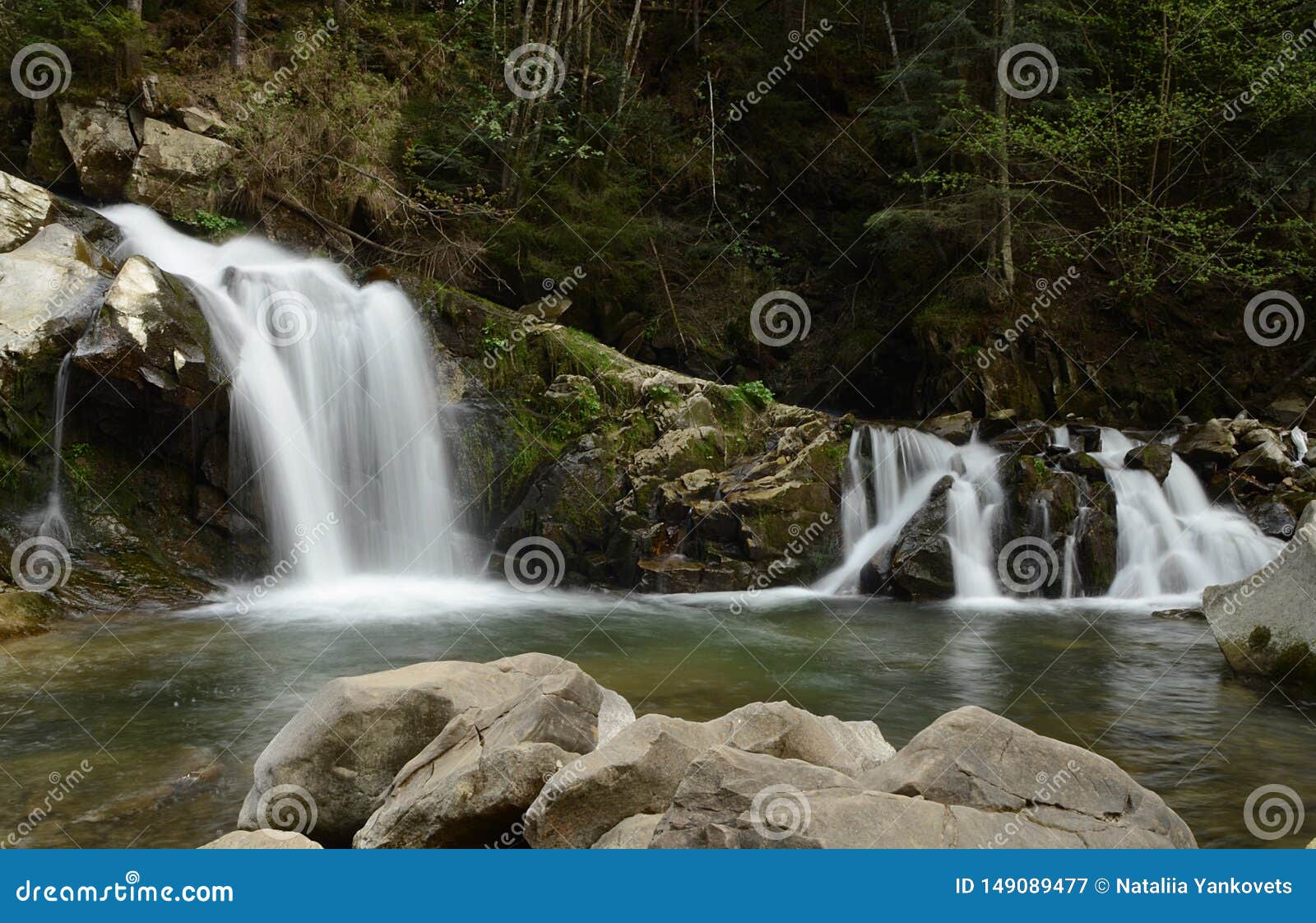 Forest Flowing Waterfall High Up in the Mountains of the Carpathians ...