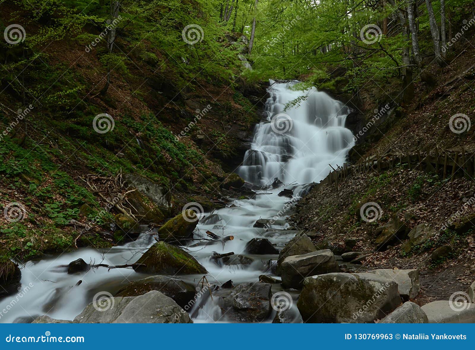 Forest Flowing Waterfall High Up in the Mountains of the Carpathians ...