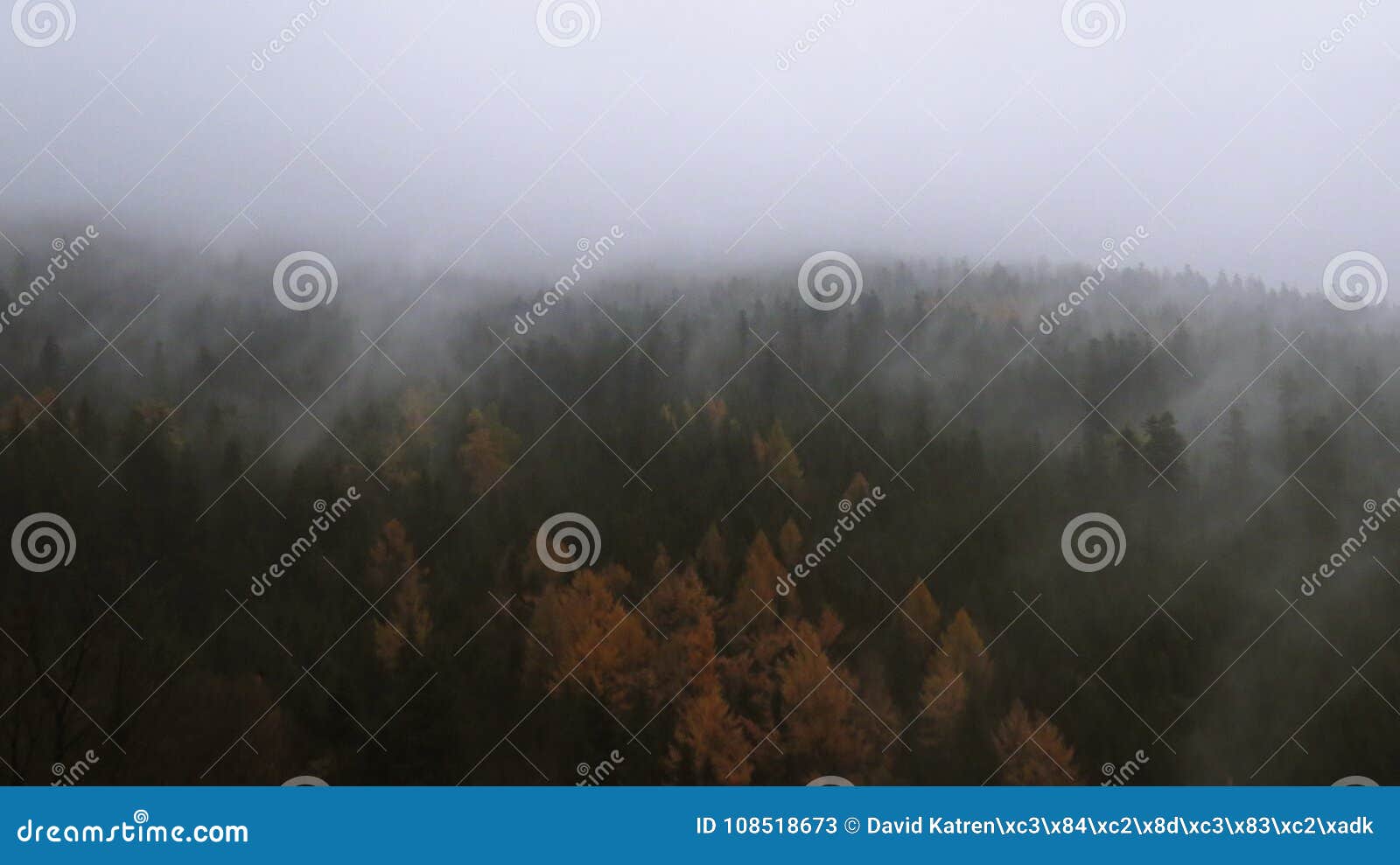 Forest in fog haze stock image. Image of hills, weather - 108518673
