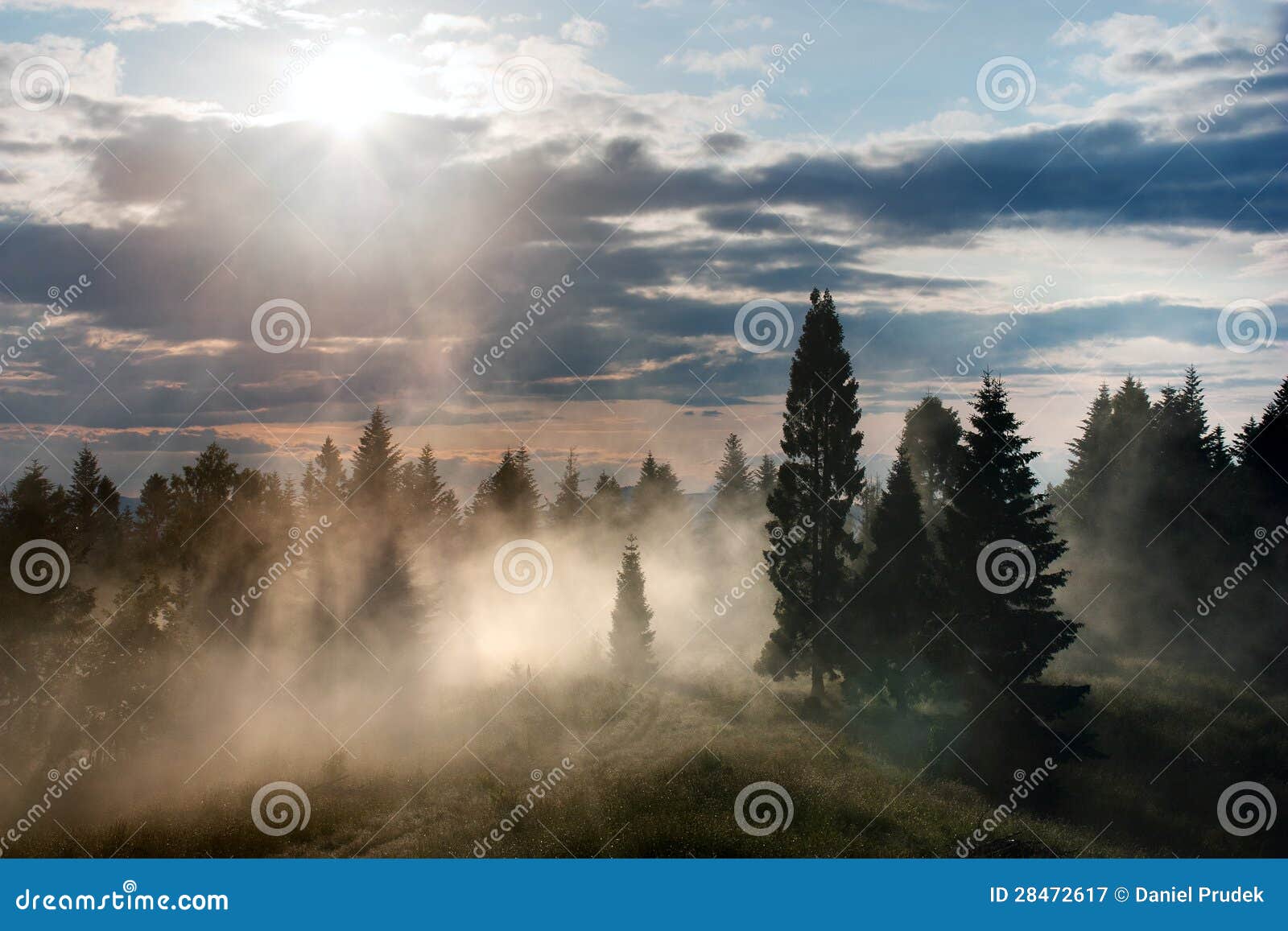 Forest with Fog and Sky with Clouds and Sun Stock Image - Image of ...