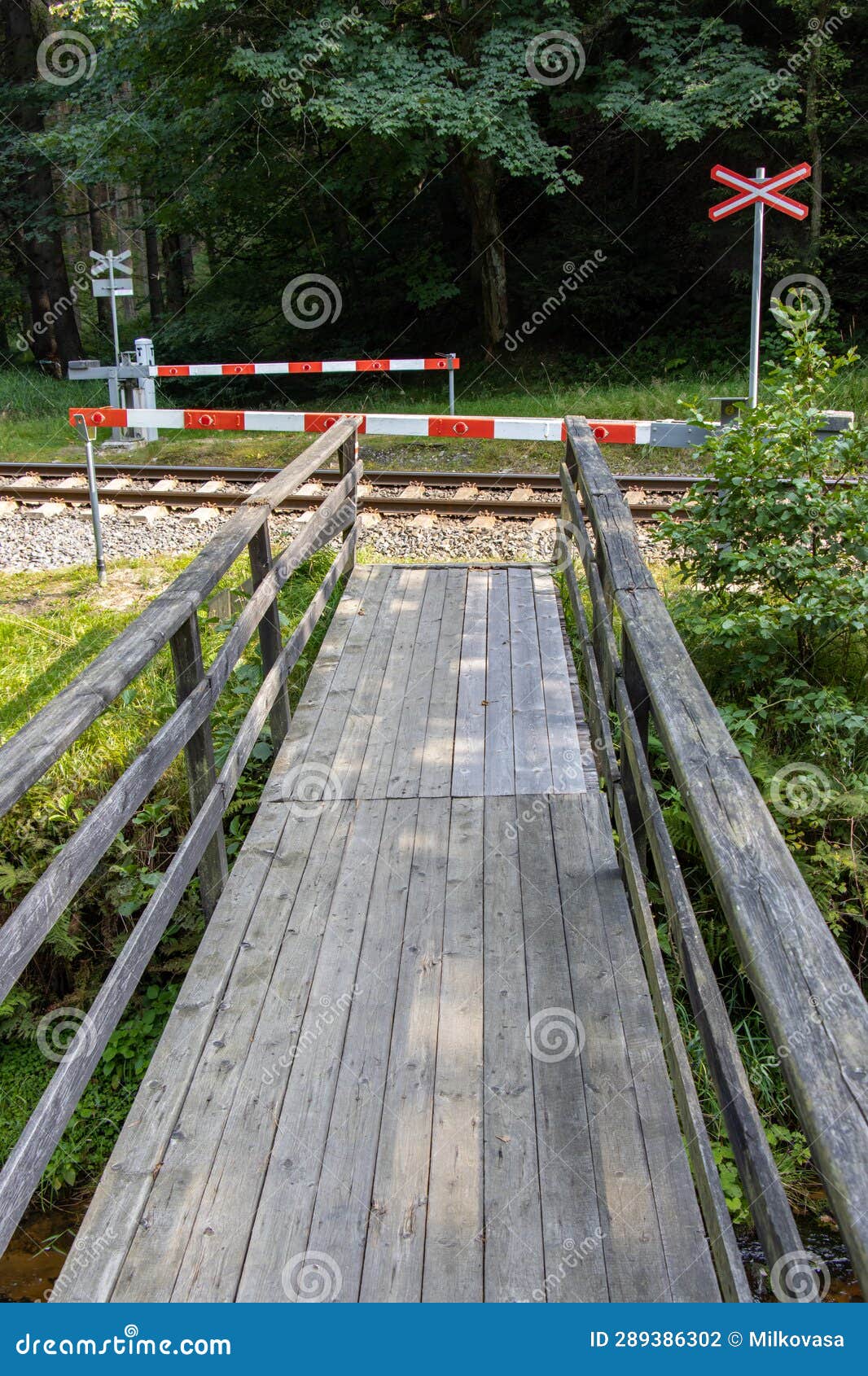 Forest Footpath with Footbridge Closed by a Barrier before Entering the ...