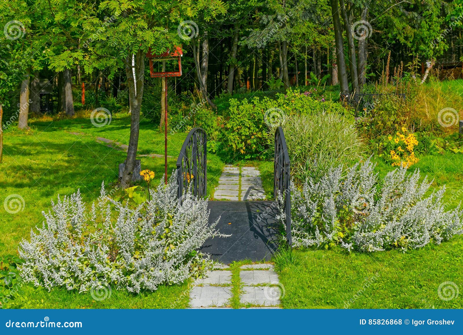 Forest Footpath with Small Bridge Stock Photo - Image of natural, walk ...