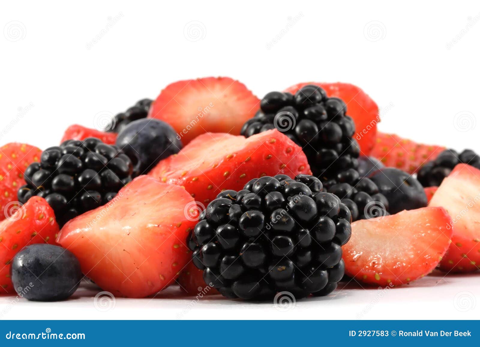 Forest fruit stock image. Image of vibrant, black, close - 2927583