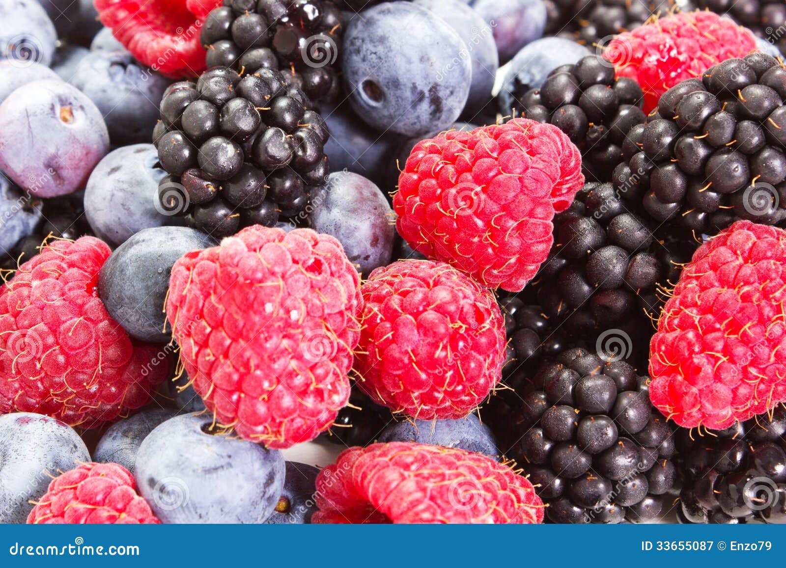 Forest fruit stock image. Image of forest, bilberry, blueberry - 33655087