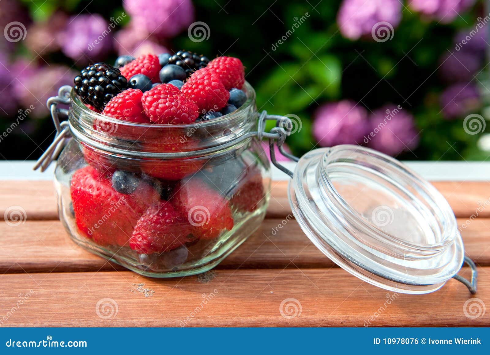 Forest fruit outdoor stock photo. Image of food, glass - 10978076