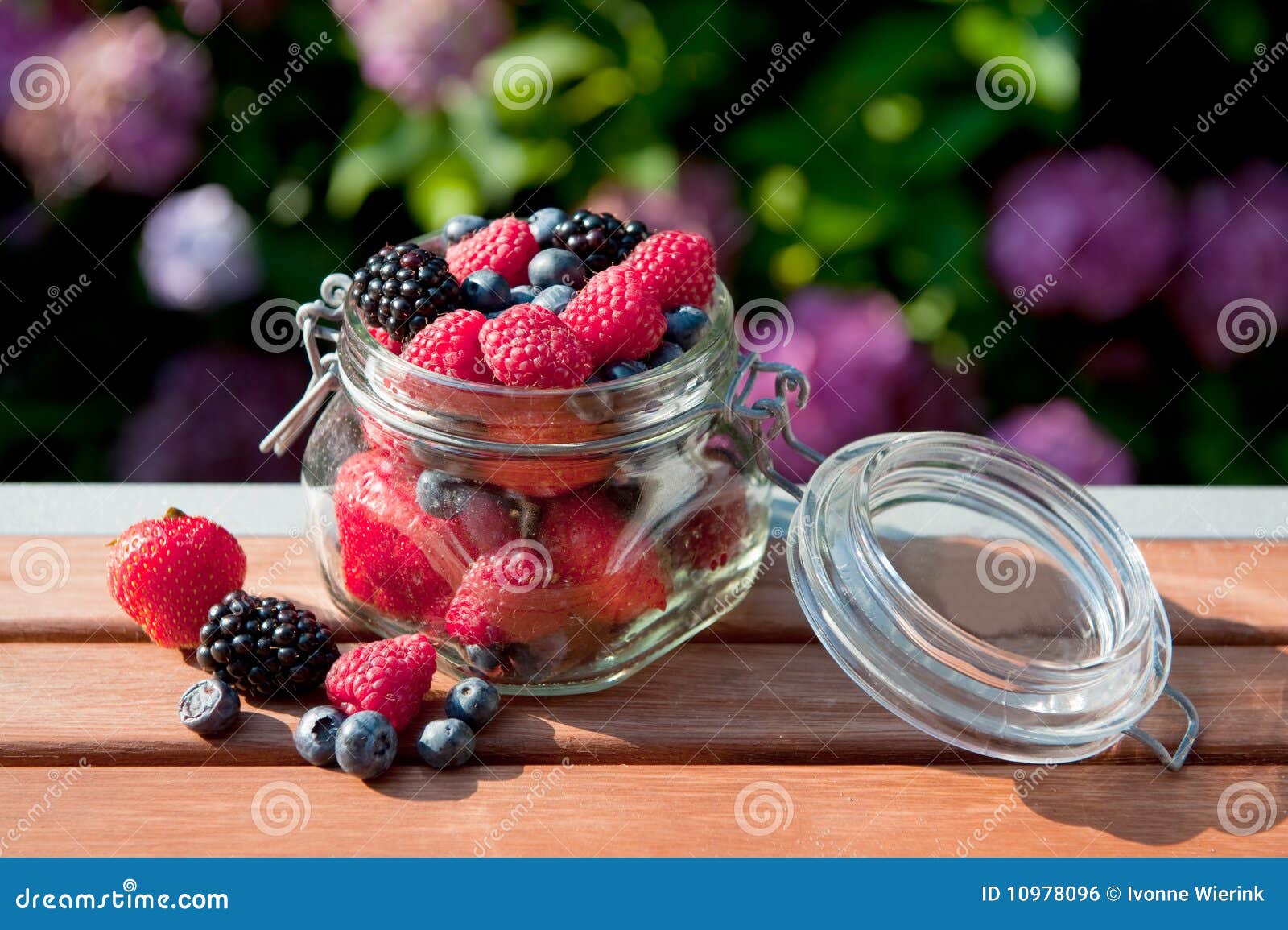 Forest fruit outdoor stock photo. Image of blueberry - 10978096