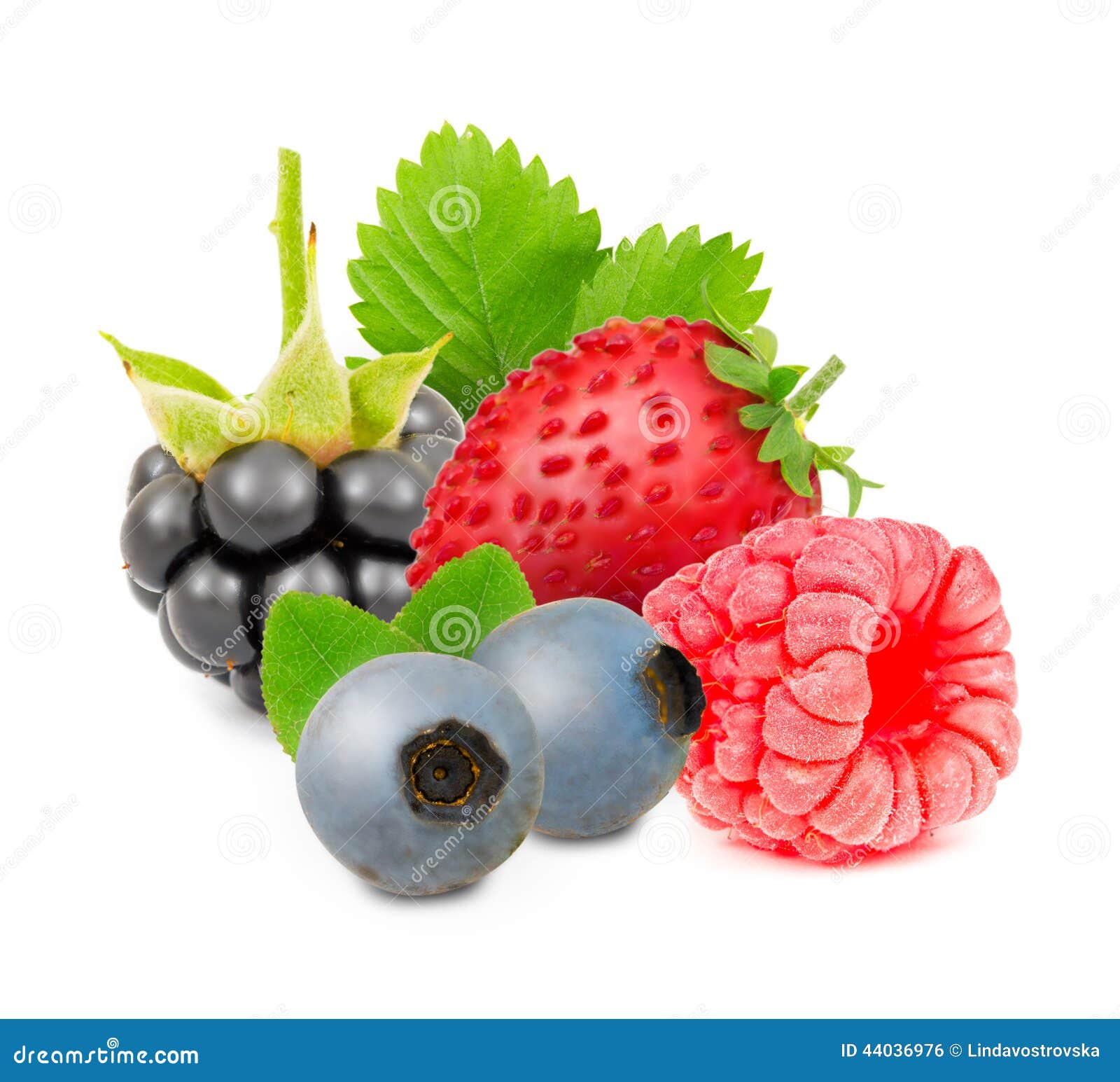 Forest fruit stock photo. Image of health, nutritious - 44036976