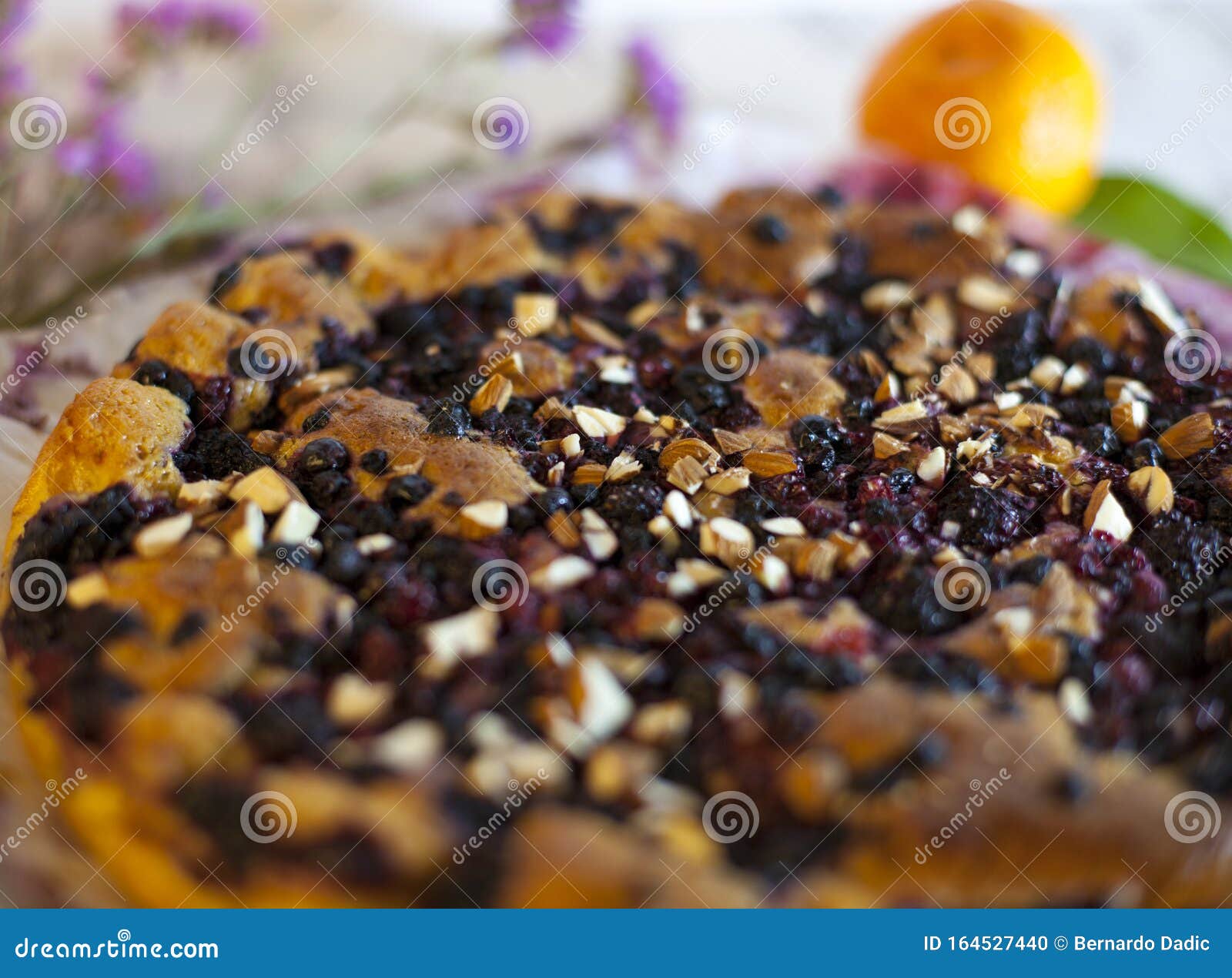 Forest fruit pie. stock photo. Image of bible, black - 164527440