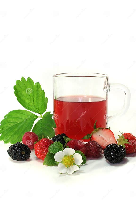 Forest fruit tea stock photo. Image of rich, infusion - 14547738