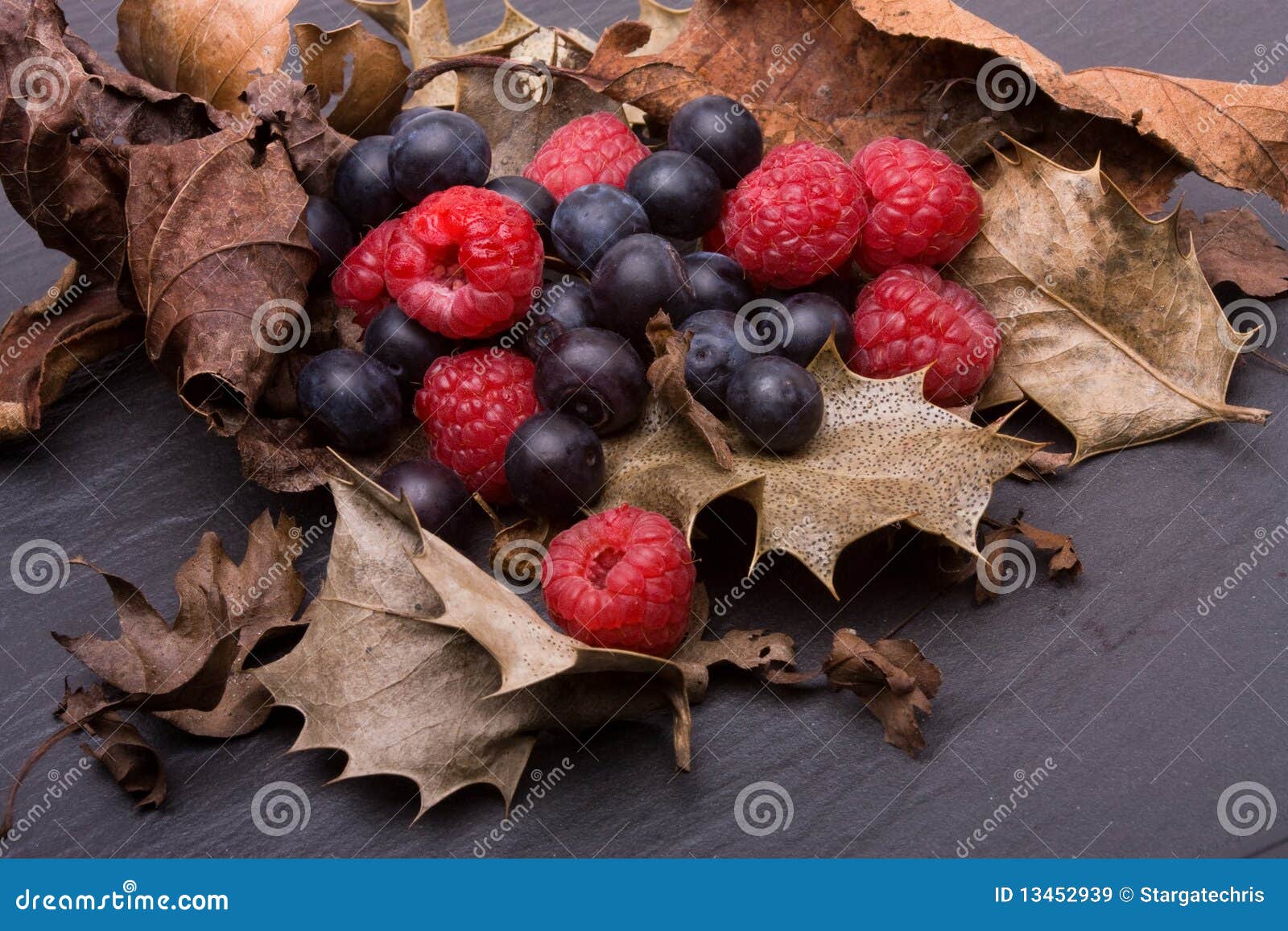 Forest Fruits Royalty Free Stock Images - Image: 13452939