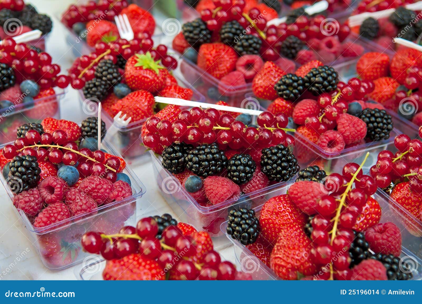 Forest fruits stock photo. Image of blue, cranberry, plastic - 25196014