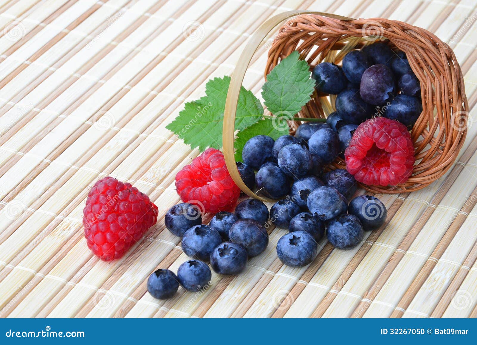 Forest fruits stock photo. Image of delicious, forest - 32267050