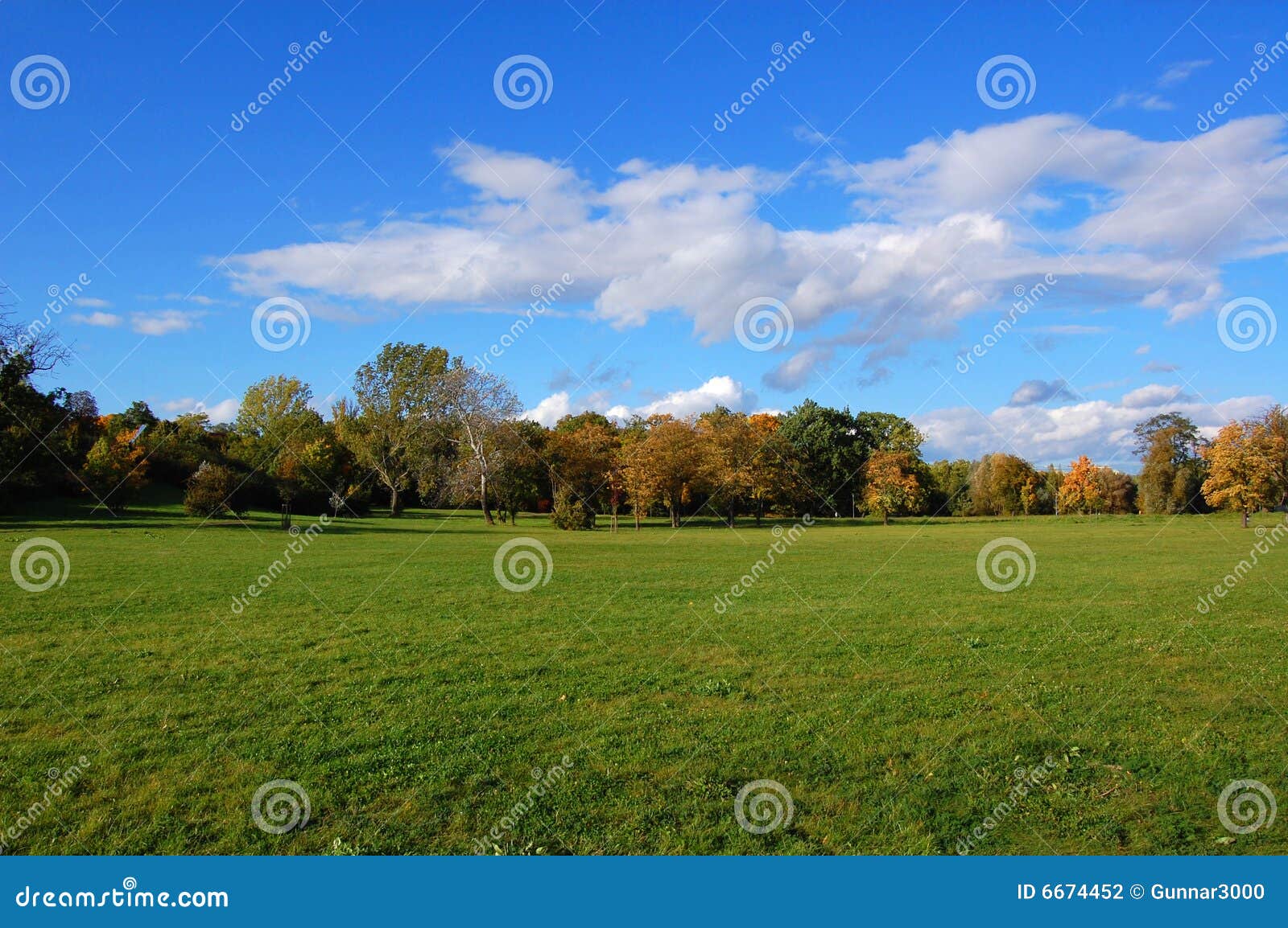 Forest and Garden Under Blue Sky at Fall Stock Photo - Image of fresh ...