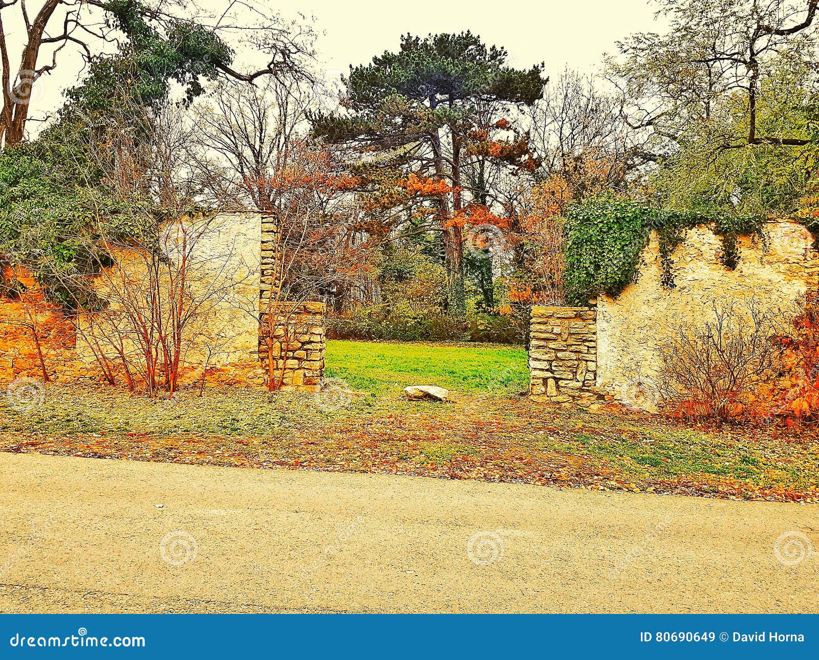 Forest Gate stock image. Image of forest, leaves, gate - 80690649