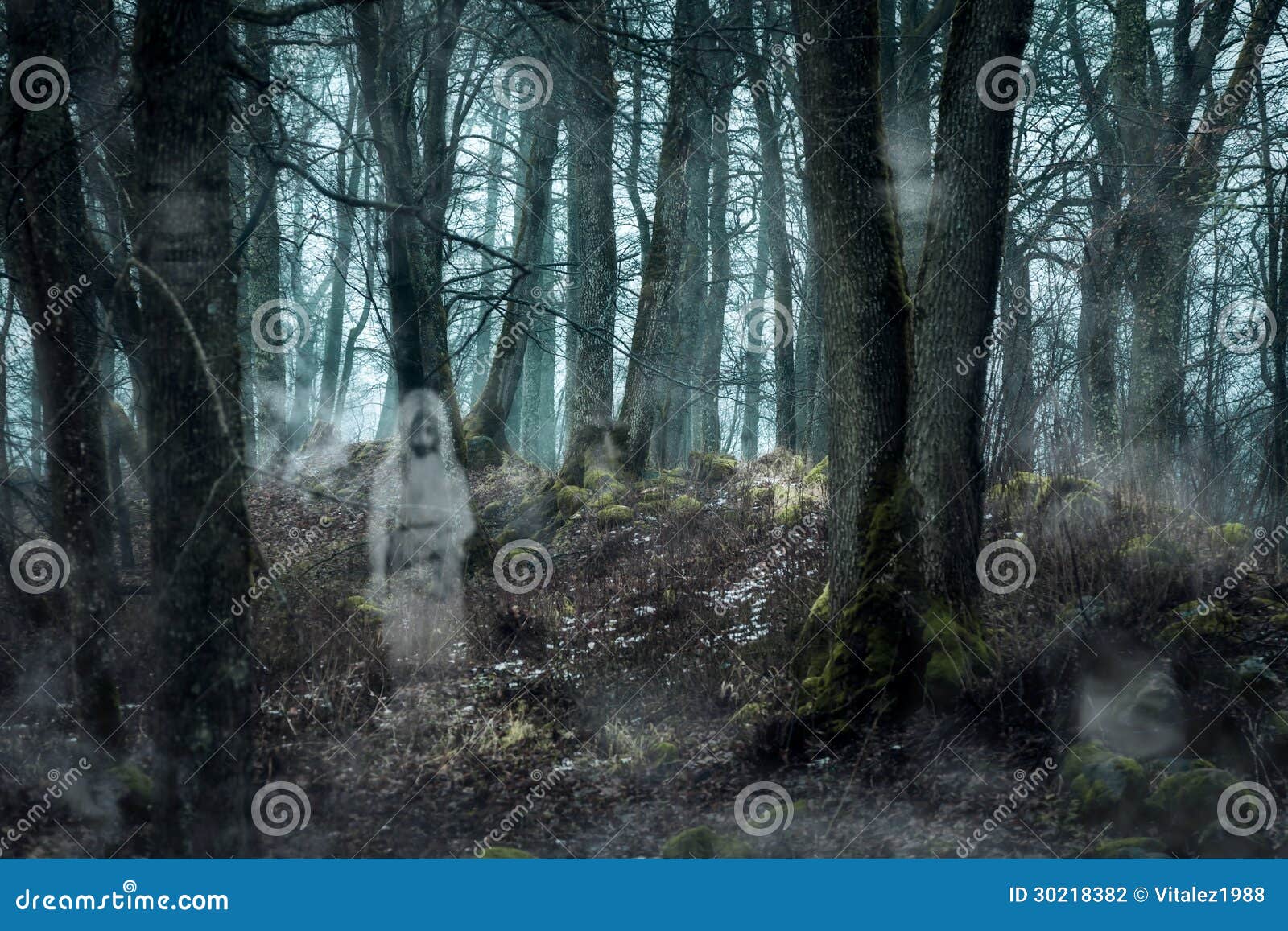 Forest with the ghosts stock photo. Image of demon, people - 30218382