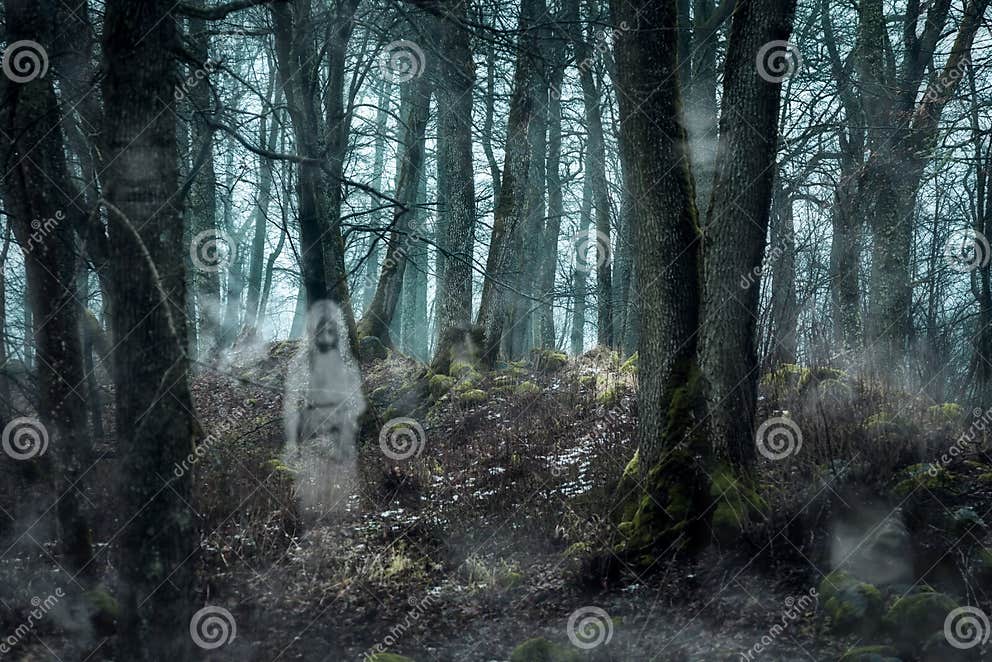 Forest with the ghosts stock photo. Image of demon, people - 30218382