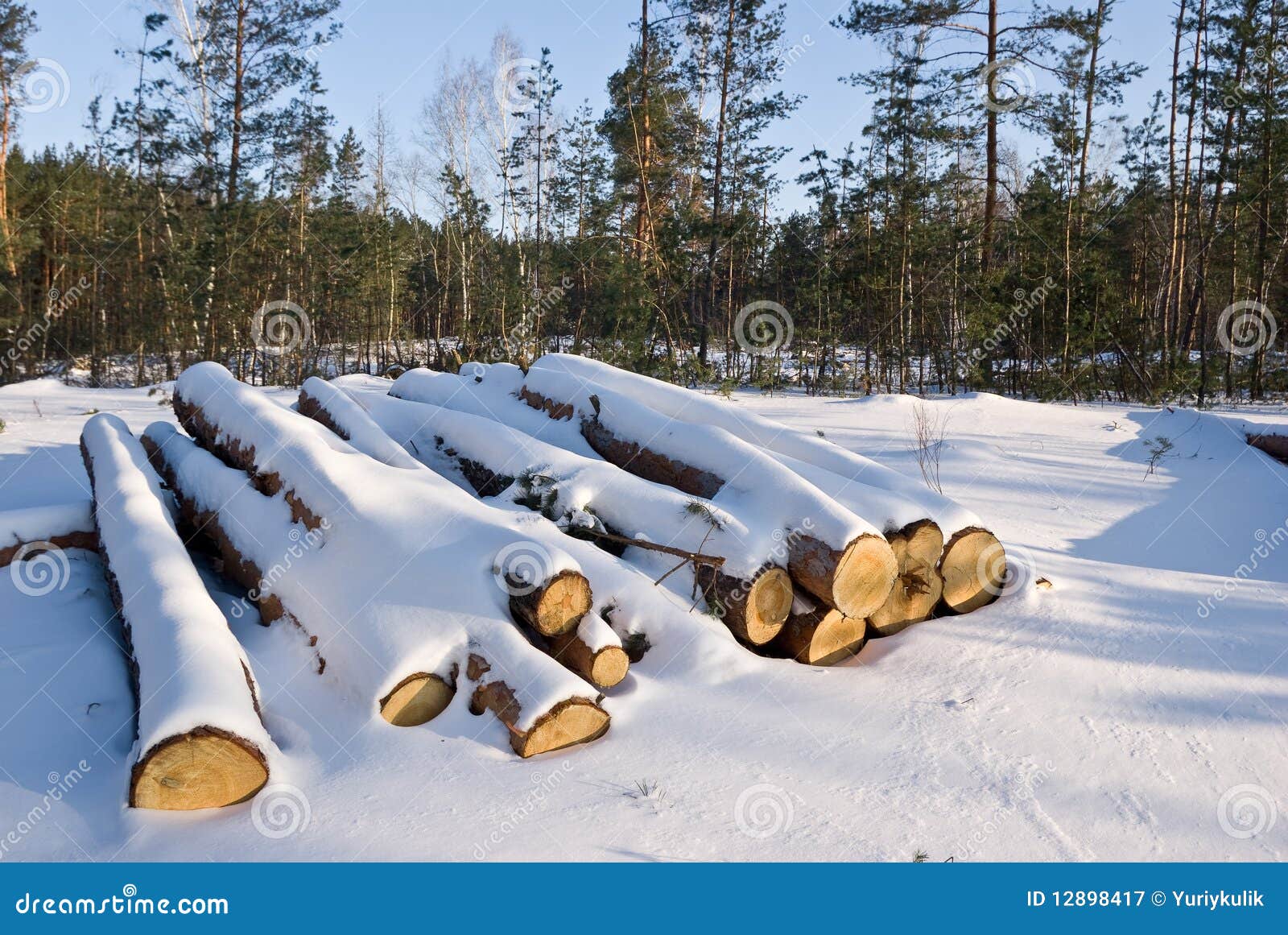 Forest glade by a winter stock image. Image of stack - 12898417