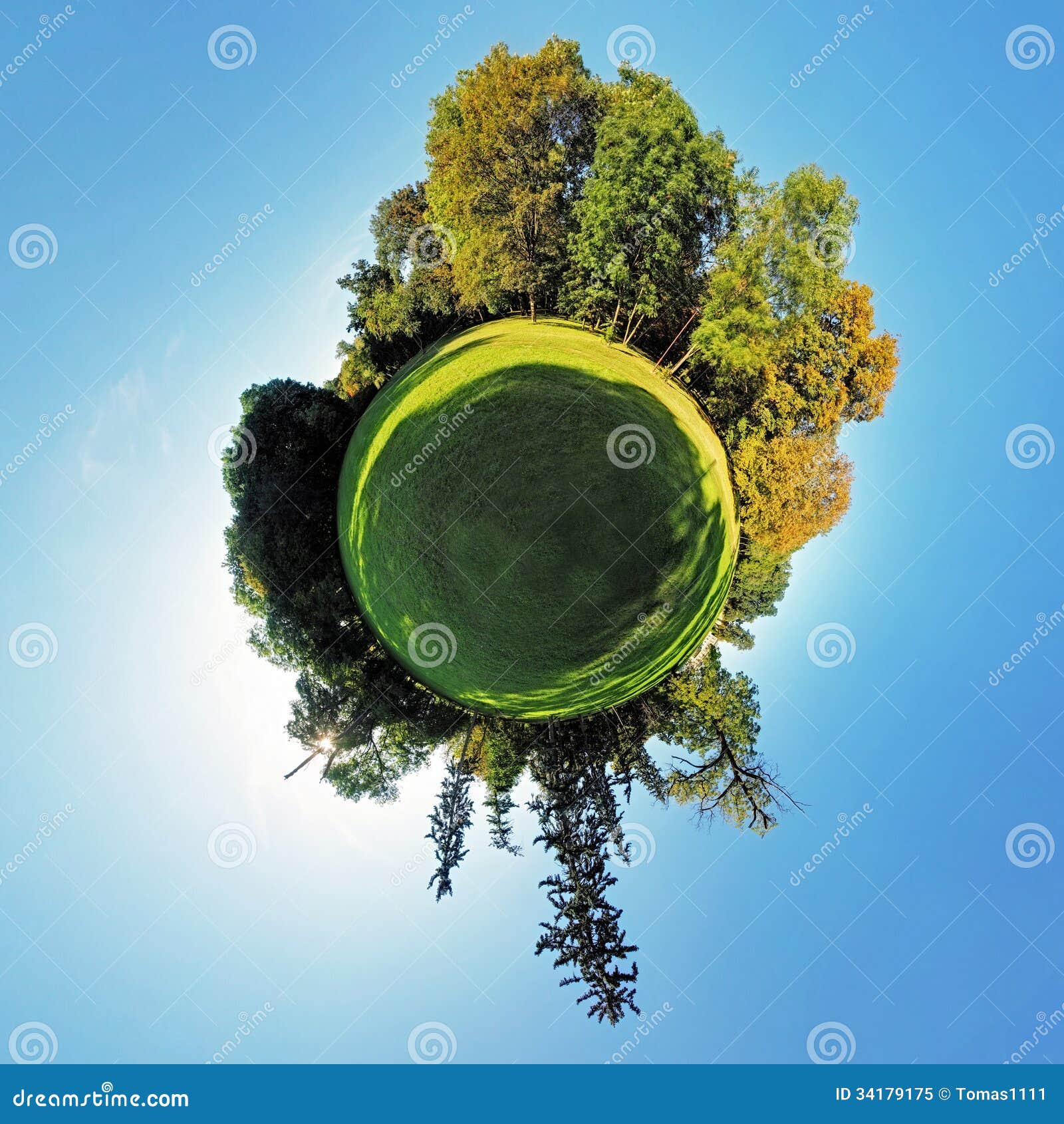Forest Globe - Little Planet Stock Image - Image of atmosphere, care ...