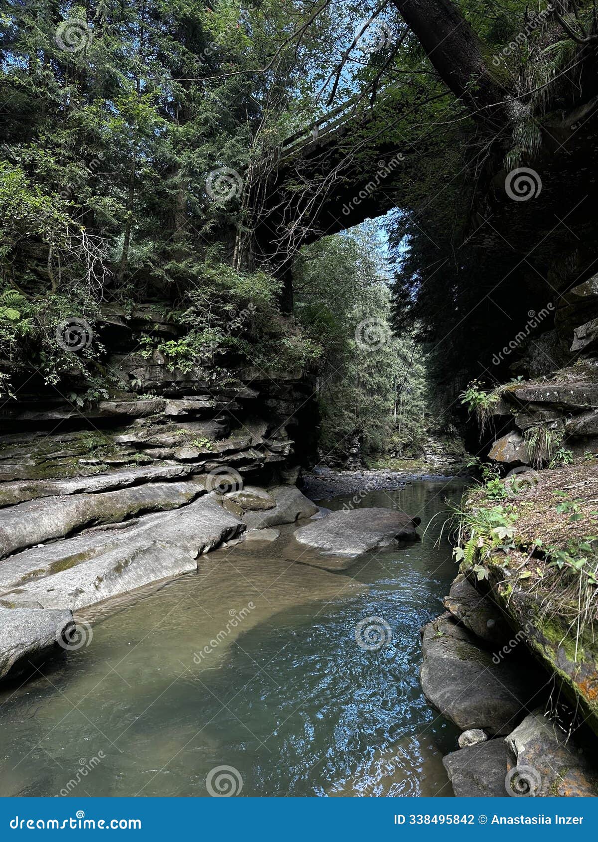 A Forest Gorge with a Winding River, Large Rocks and Boulders Stock ...