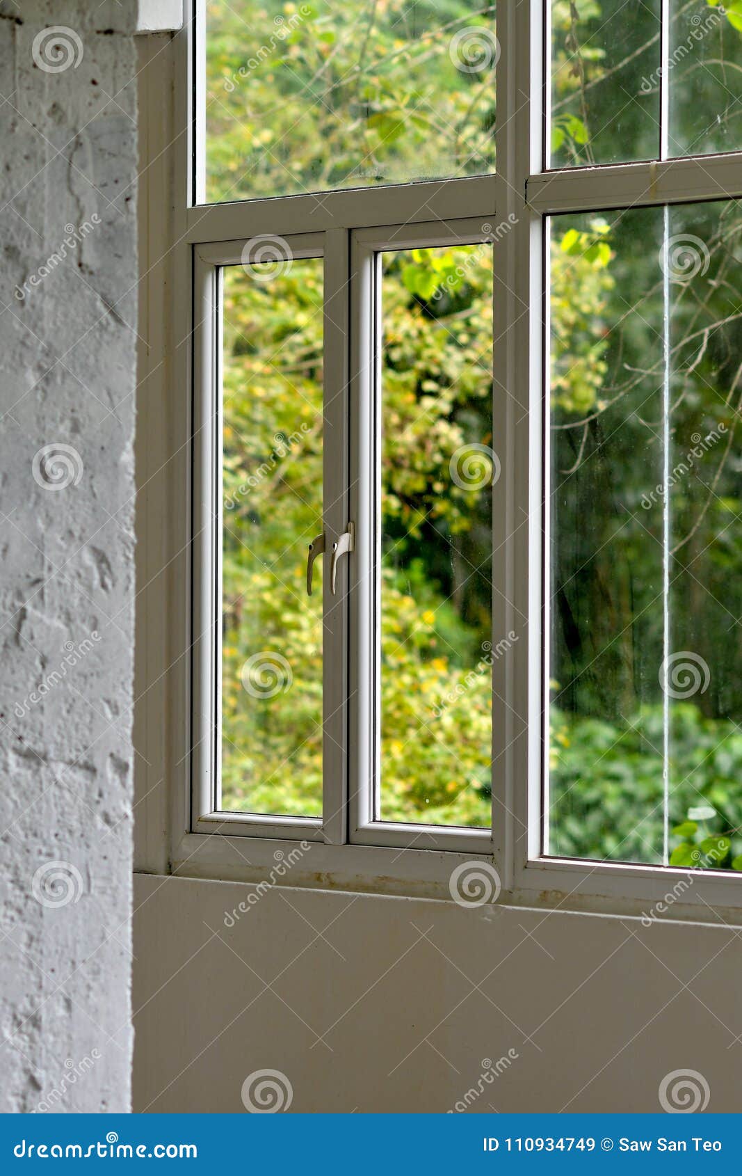 Windows of greenery stock image. Image of exterior, environment - 110934749