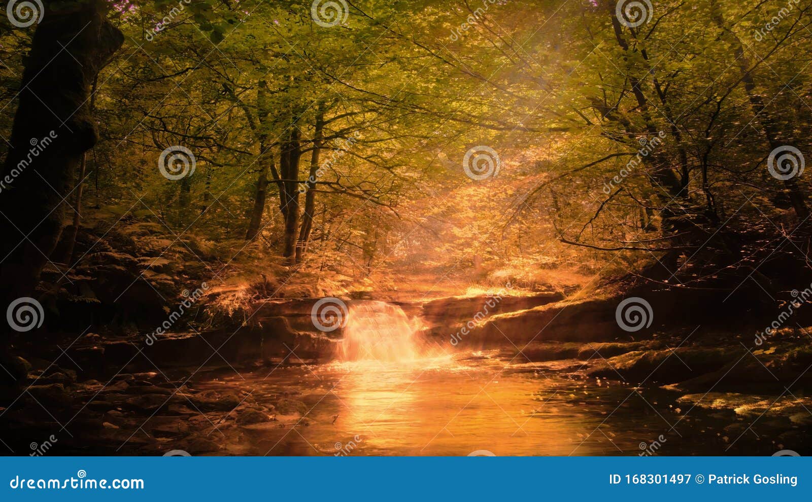 Forest Waterfall with Soft Summer Light. Stock Image - Image of stream ...