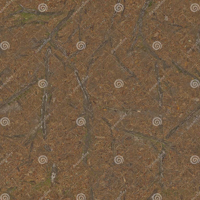 Forest Ground Albedo Map, Diffuse Map Texture Stock Illustration ...