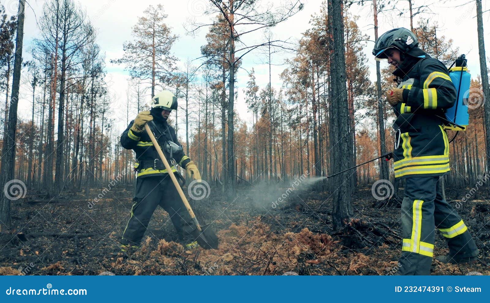 Forest Ground is Getting Damped Down by Firemen after the Fire Stock ...