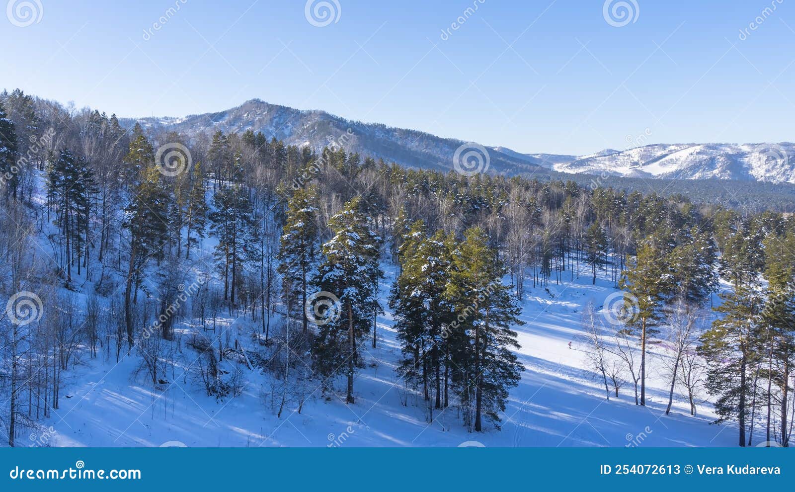 The Forest Grows on a Snow-covered Hillside. Stock Image - Image of ... The Forest Grows on a Snow-covered Hillside. Stock Image - Image of ...