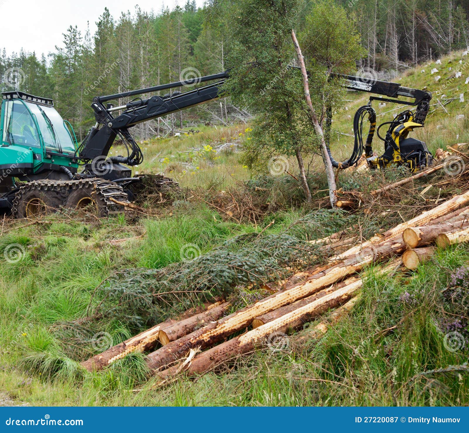Forest harvester stock image. Image of lumberjack, pine - 27220087