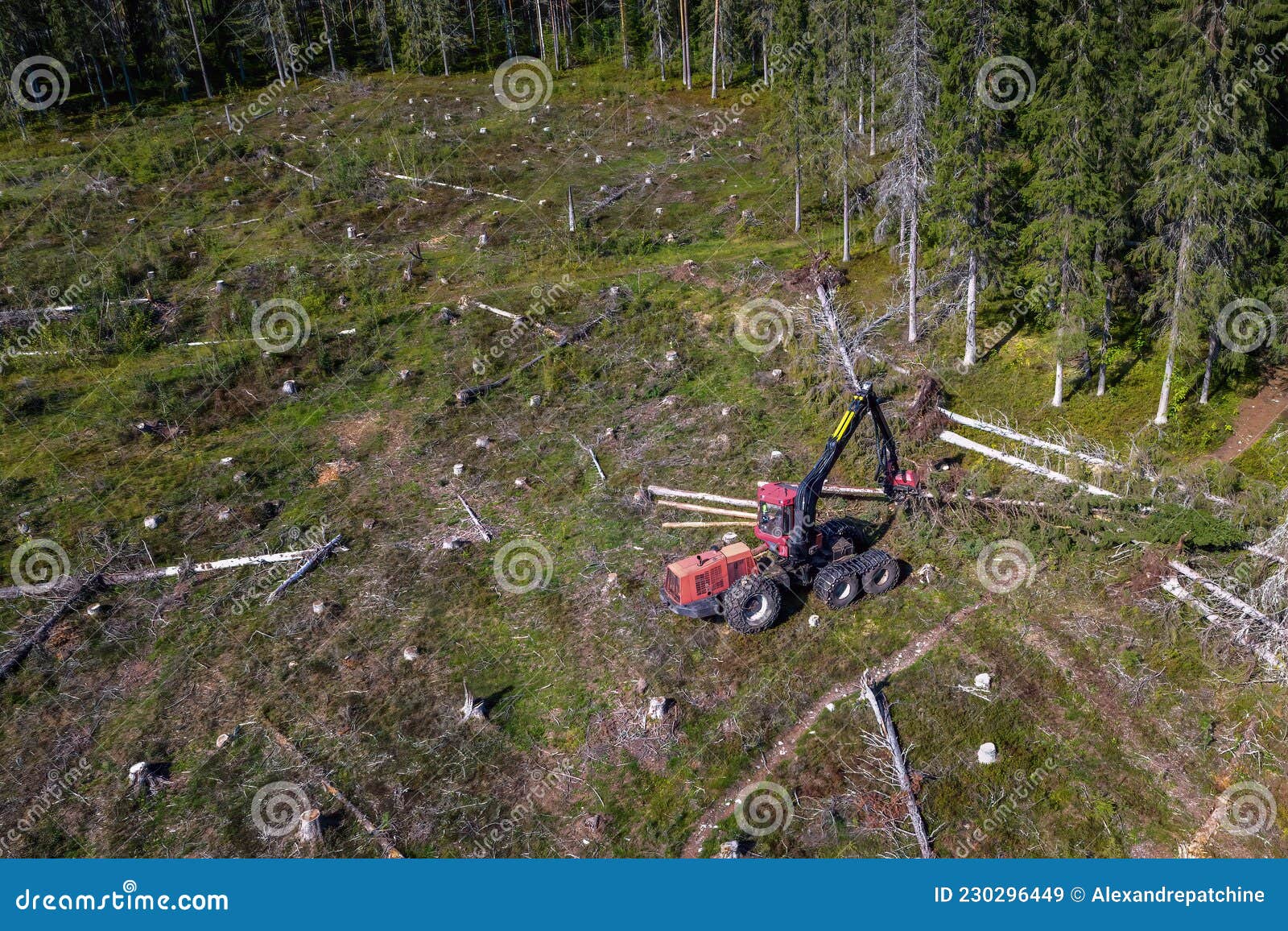 Forest Harvester Cleans Fresh Cut Tree from Branches, Fully Automatic ...