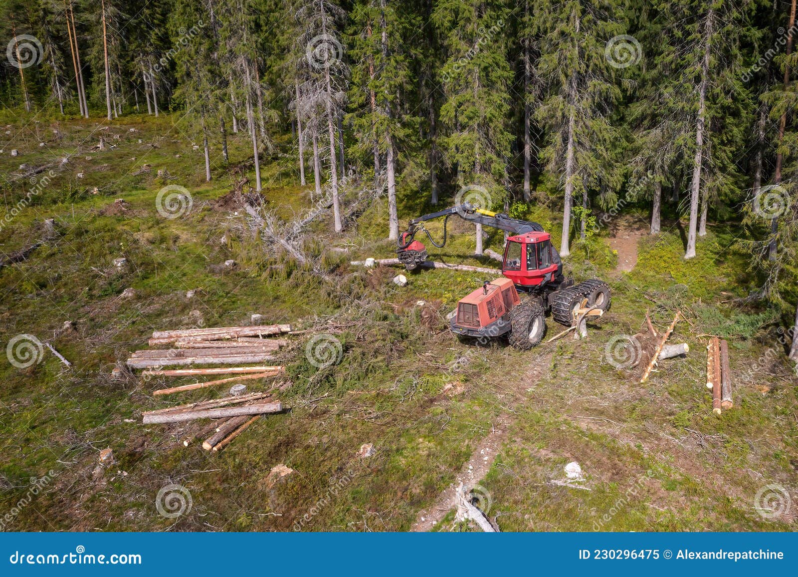 Forest Harvester Cuts in Smaller Pieces Fresh Cut Tree, Fully Automatic ...