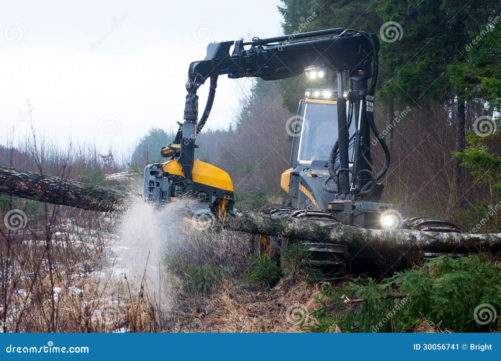 Forest Harvester stock image. Image of modern, lumber - 30056741