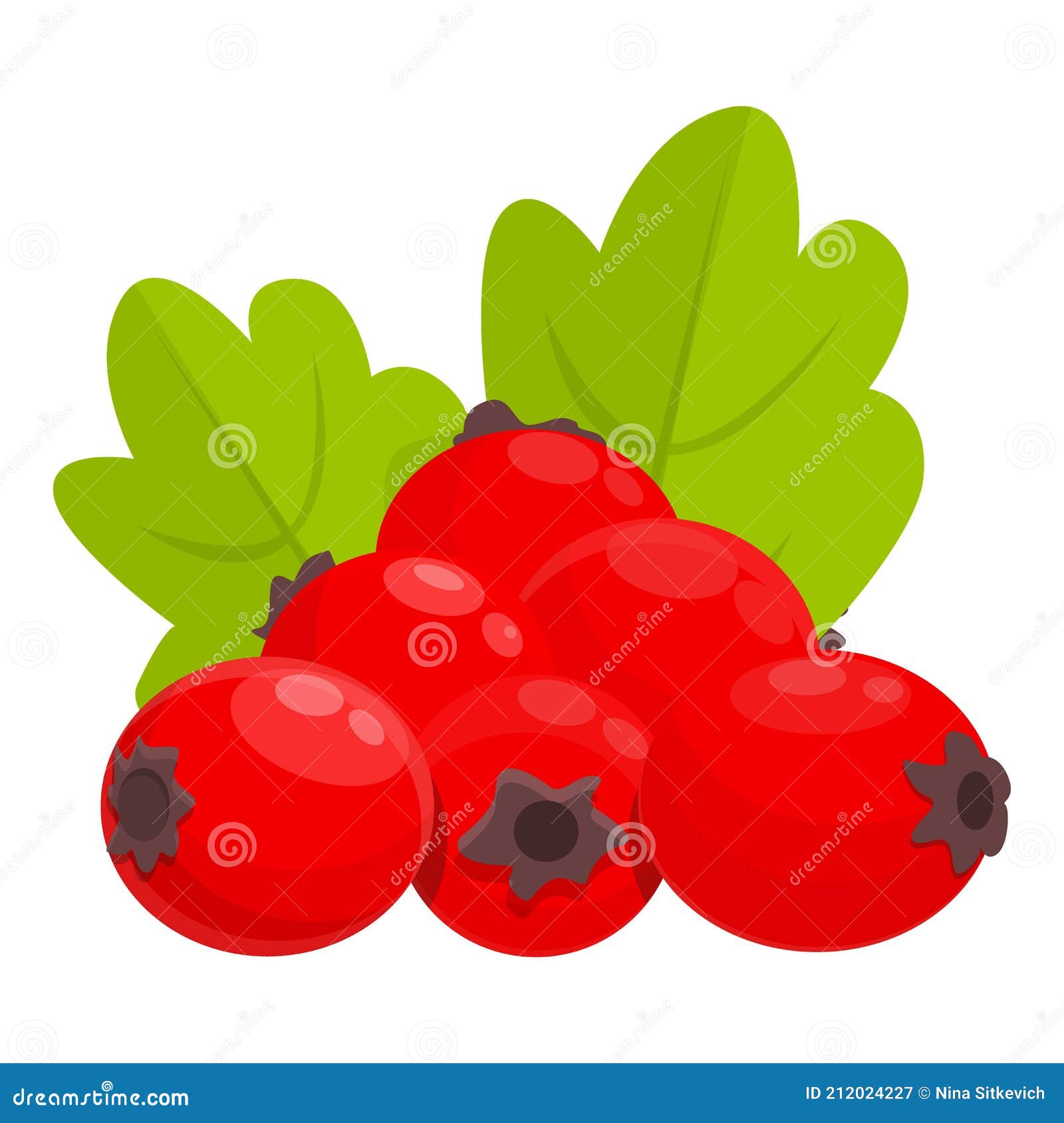 Hawthorn Icon. Trendy Hawthorn Logo Concept On White Background Cartoon ...