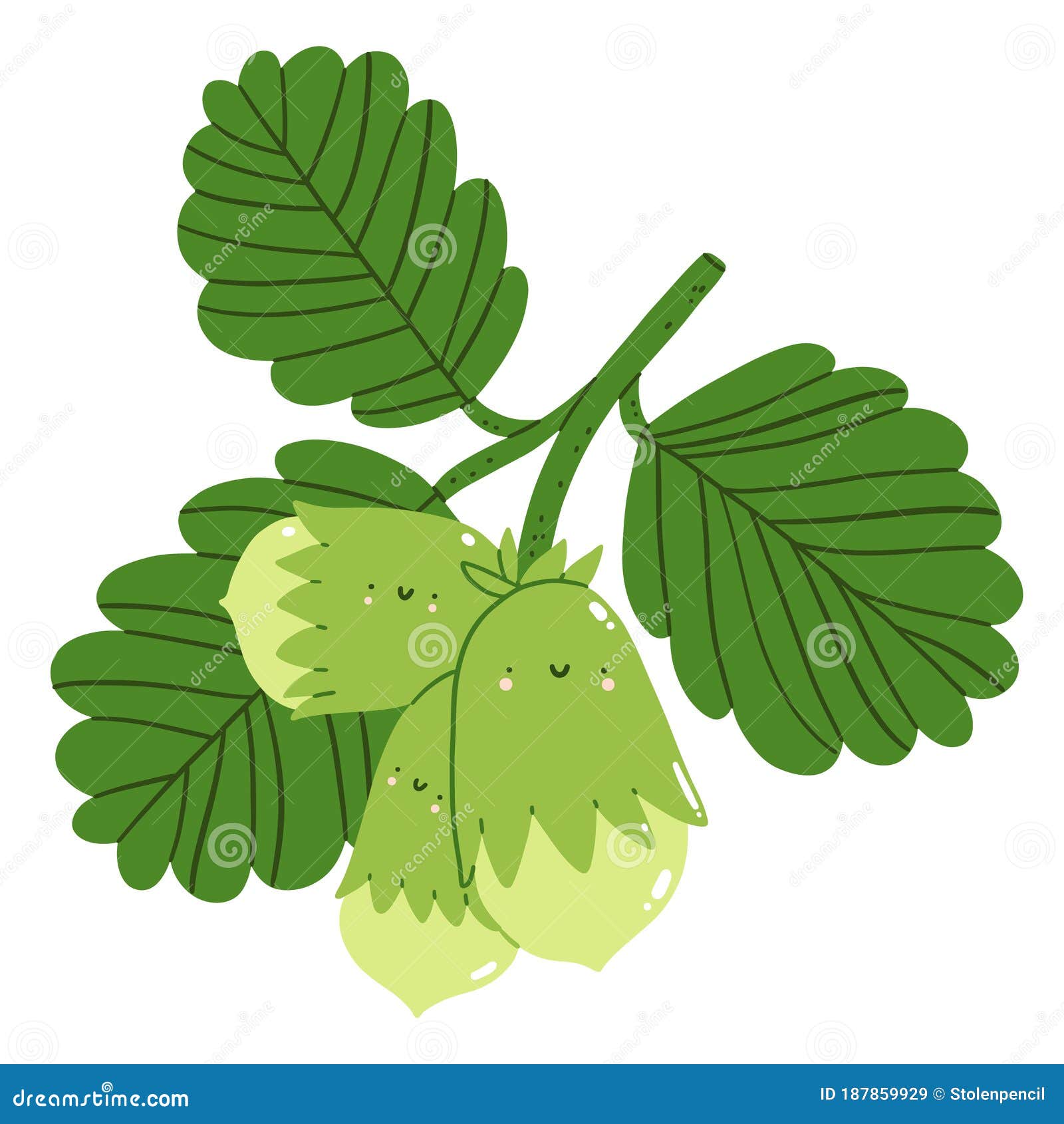 Forest Hazel Nuts Cute Cartoon Vector Characters Illustration ...