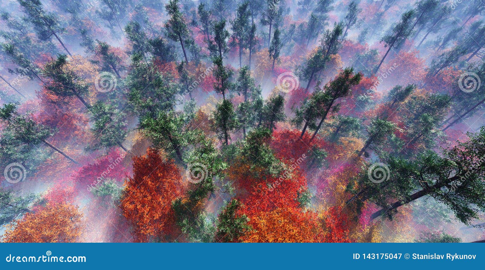 Trees in the Fog, Forest ,HDRI, Environment Map , Round Panorama Stock ...