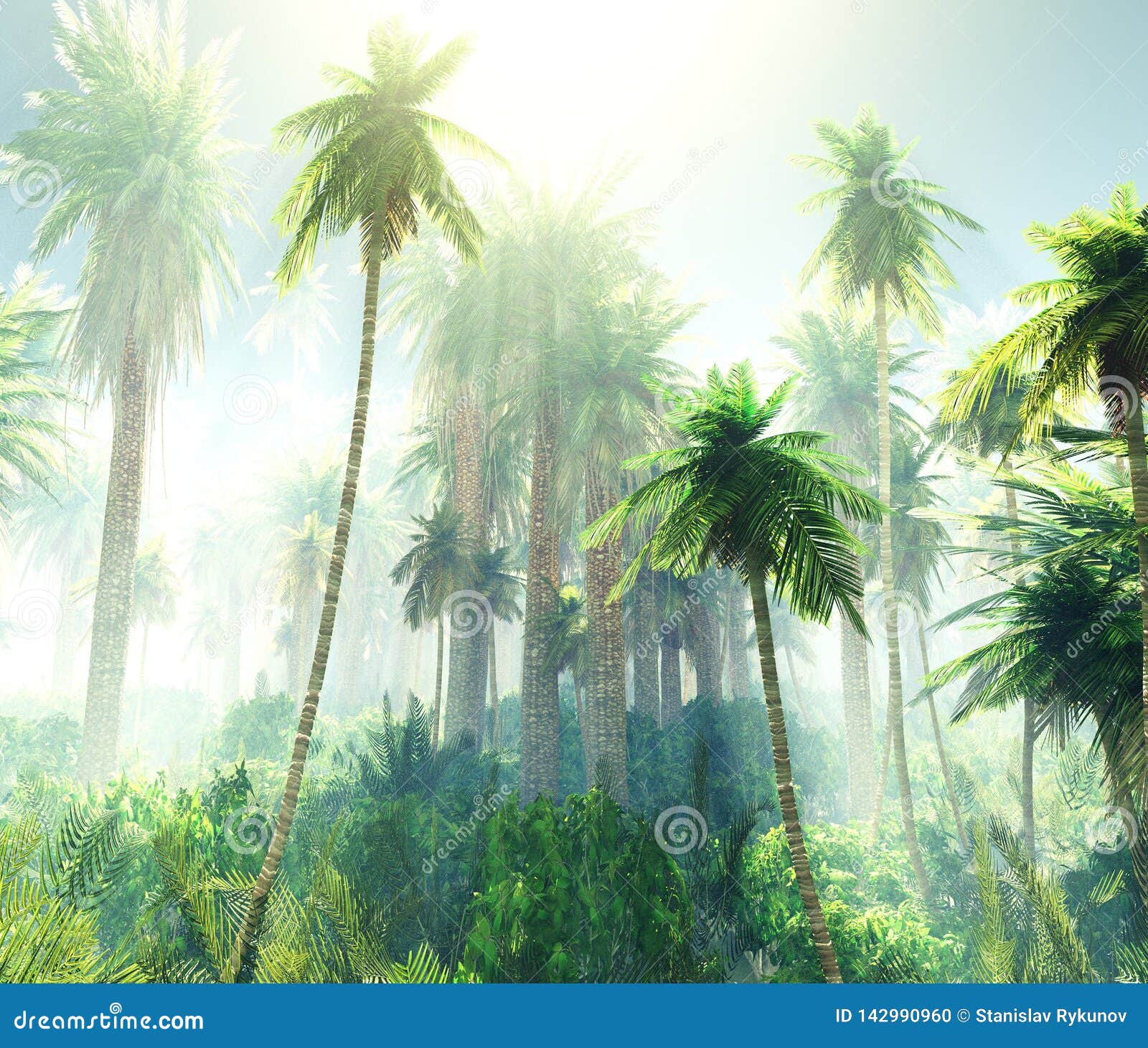 Trees in the Fog, Forest ,HDRI, Environment Map , Round Panorama Stock ...