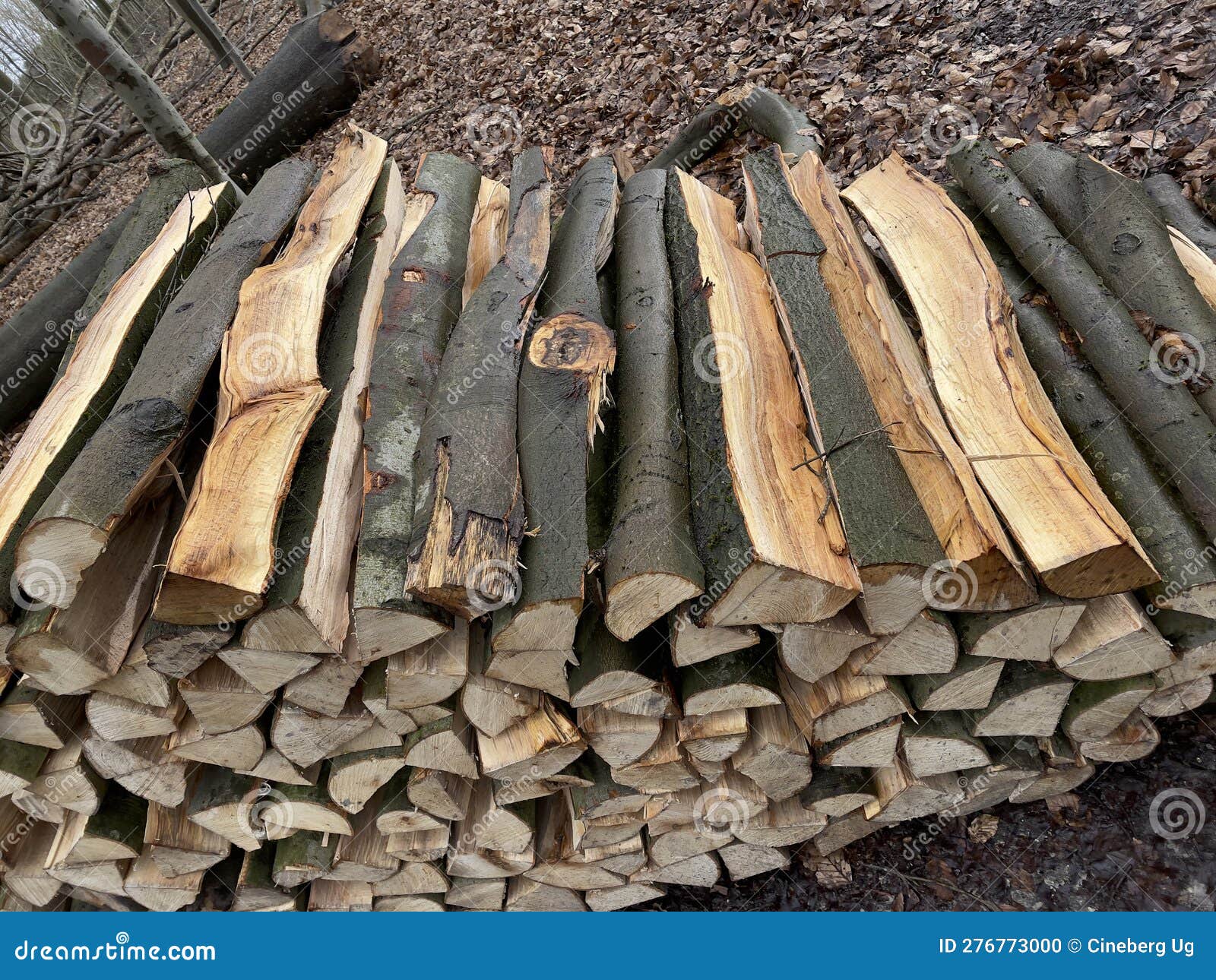 Felled Tree Trunks and Branches Stock Photo - Image of rural, landscape ...