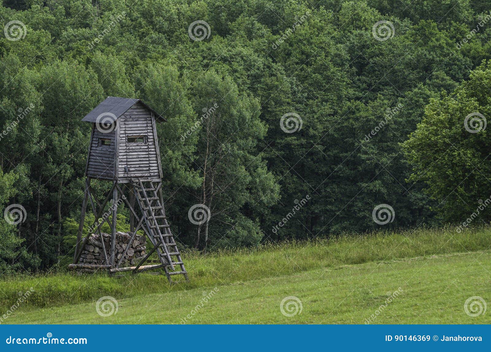 Forest hide stock image. Image of park, meadow, leisure - 90146369