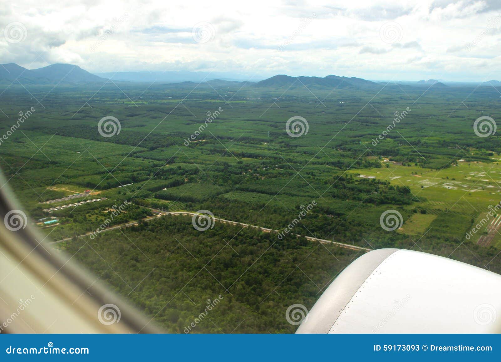 The Forest from a High Angle Stock Image - Image of high, nature: 59173093