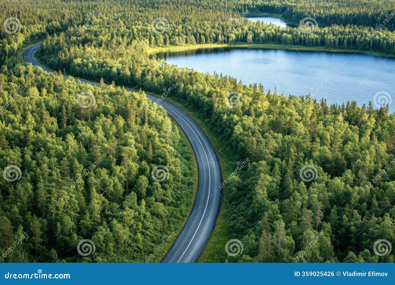 Forest Highway stock photo. Image of scenic, nature - 359025426