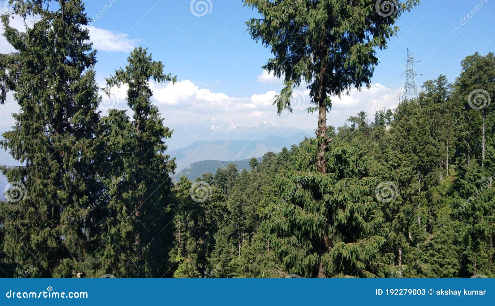 Forest of Himachal stock image. Image of spruce, forest - 192279003