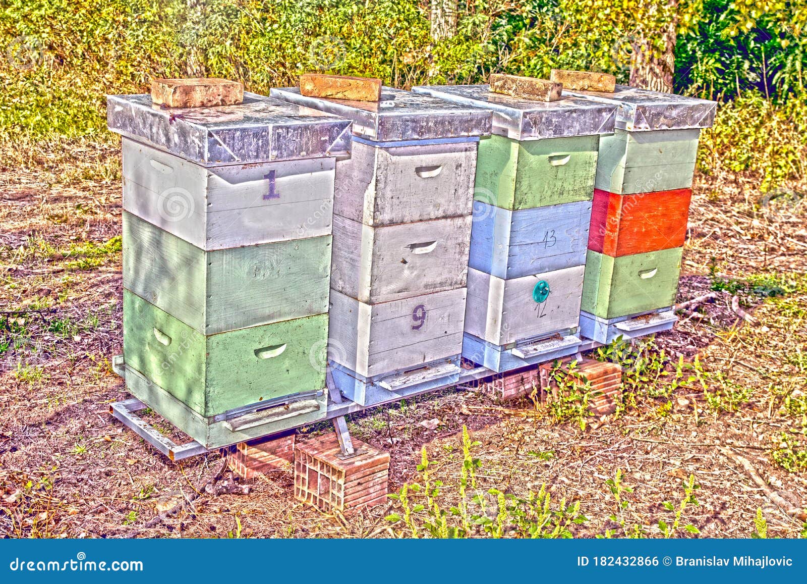 Hives with bees stock photo. Image of animal, nature - 182432866