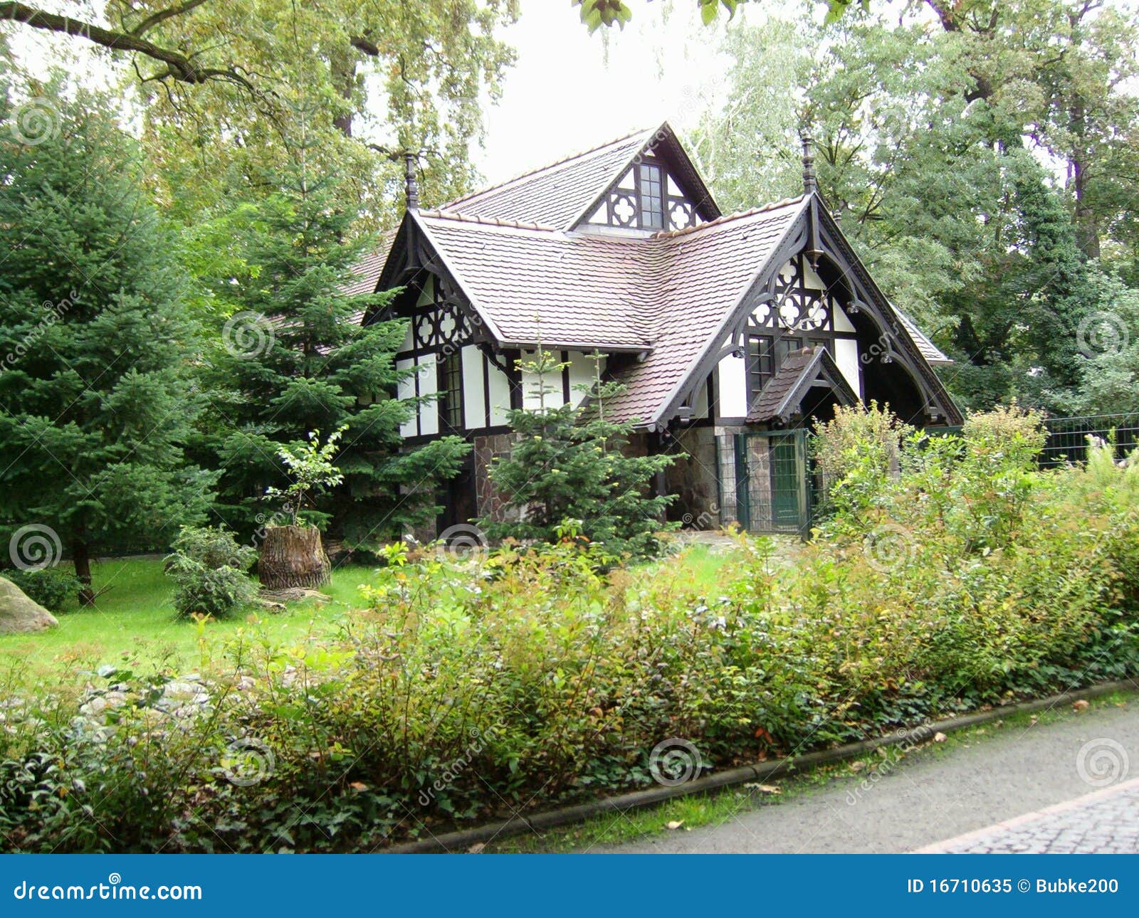 Forest house stock image. Image of house, mountain, vacation - 16710635