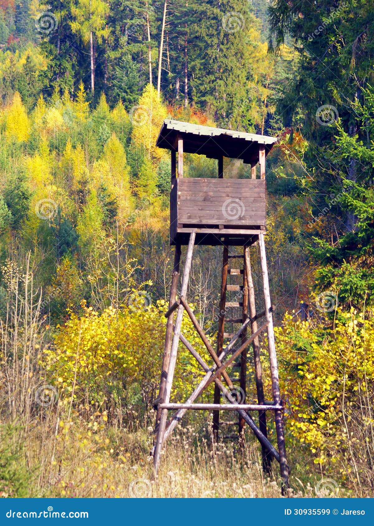 Forest hunting stand stock image. Image of autumn, rustic - 30935599