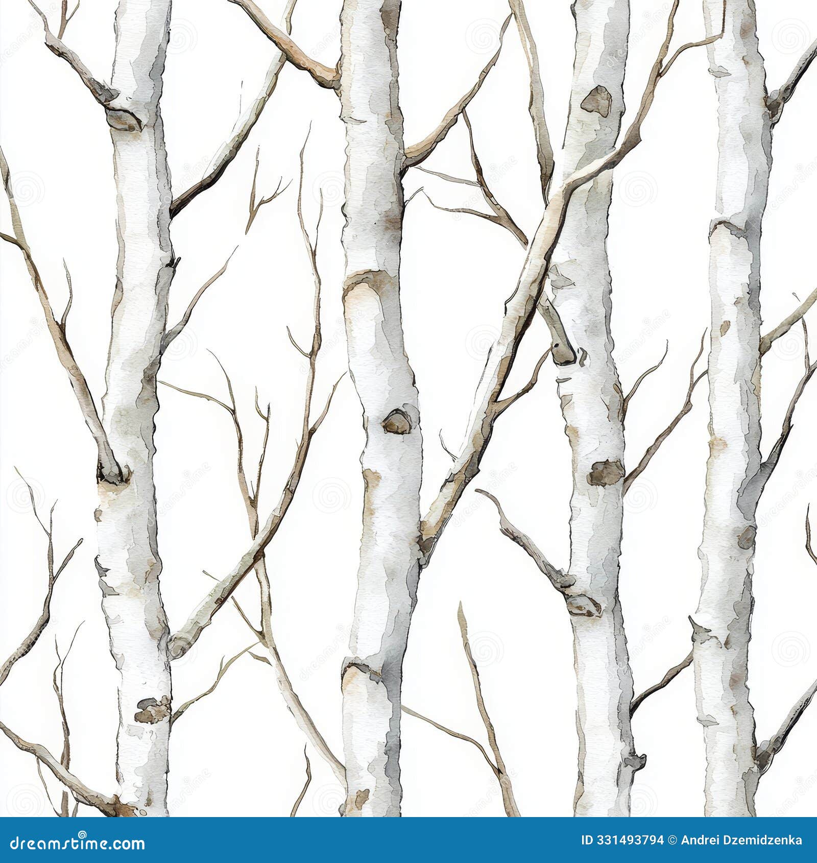 Forest Illustration of Stems on White Background. Birch Trees with ...