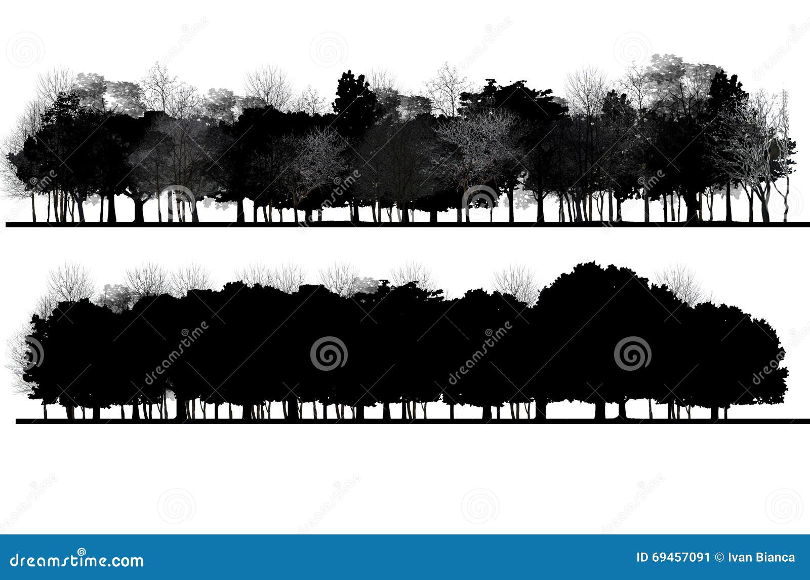 Forest stock illustration. Illustration of drawing, architectural ...