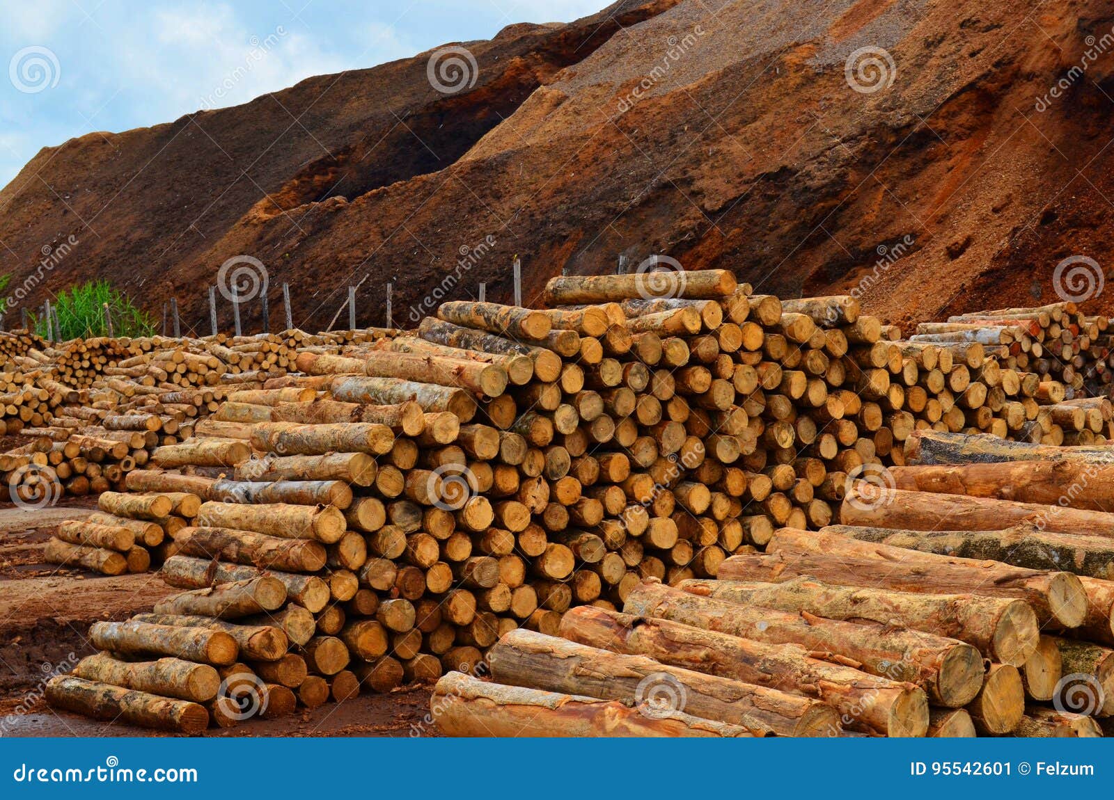 Forest industry stock image. Image of machines, agriculture - 95542601
