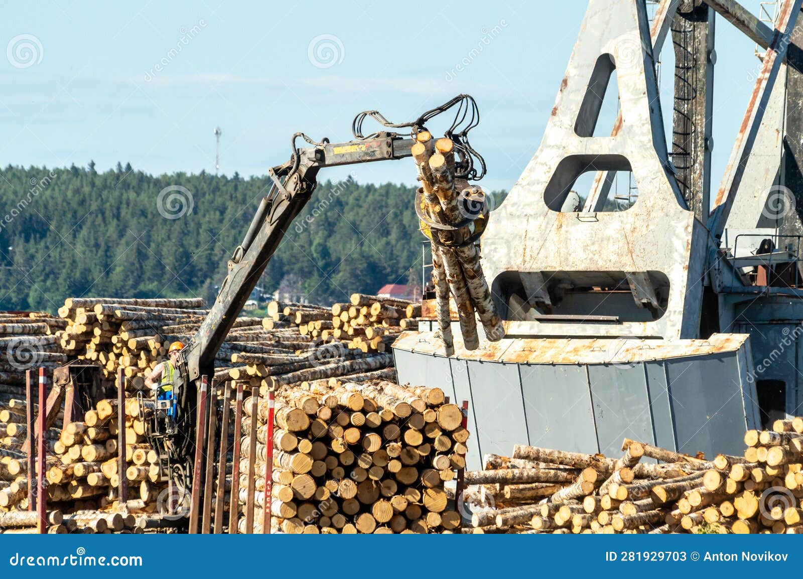 Forest Industry. Operations for Loading-unloading Logging Truck Stock ...