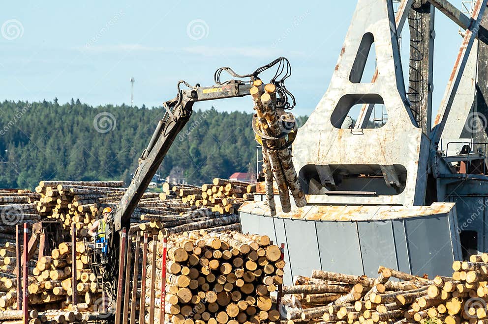 Forest Industry. Operations for Loading-unloading Logging Truck Stock ...