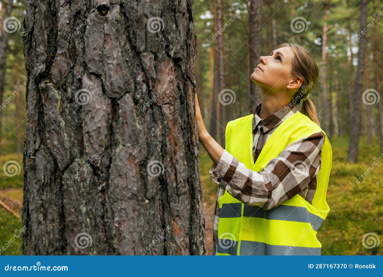 Forest Inspection and Management, Renewable Resources. Female Forestry ...